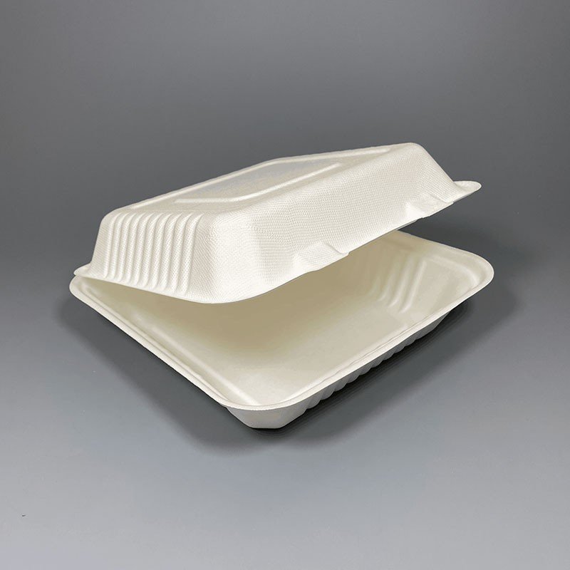 What is Bagasse | The sustainable Revolution in Food Packaging - GreenFeel